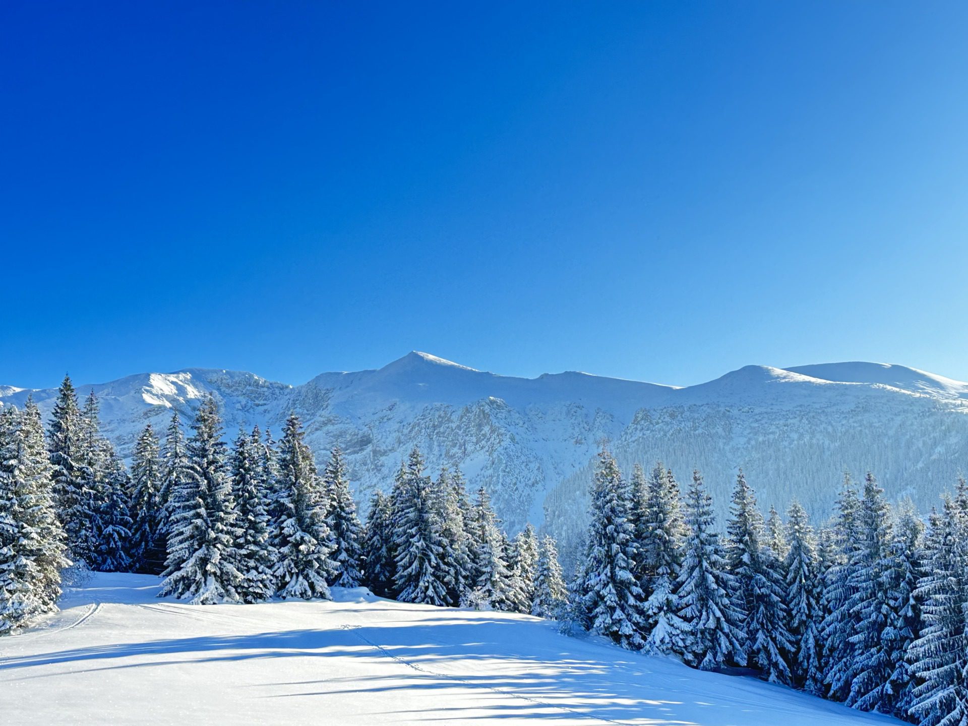 Tatry zimą dla początkujących | Damosfera