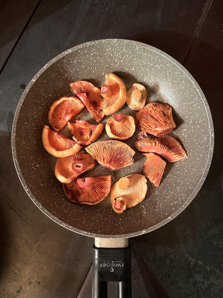 Rudy, rudy rydz! | Damosfera