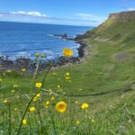 Grobla Olbrzyma | Damosfera